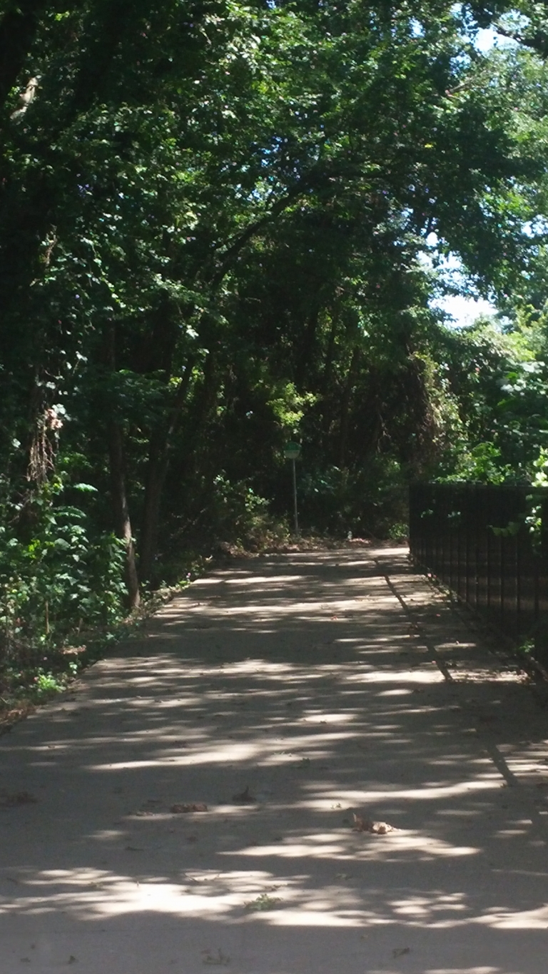 Nicole Osei 9/15/2016; How I Rediscovered Dallas | News Talk WBAP-AM